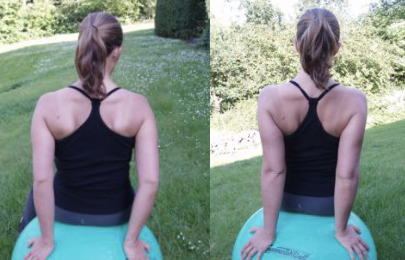 Rytterens sæde set med en fysioterapeuts øjne - Hesteosteopat og ...